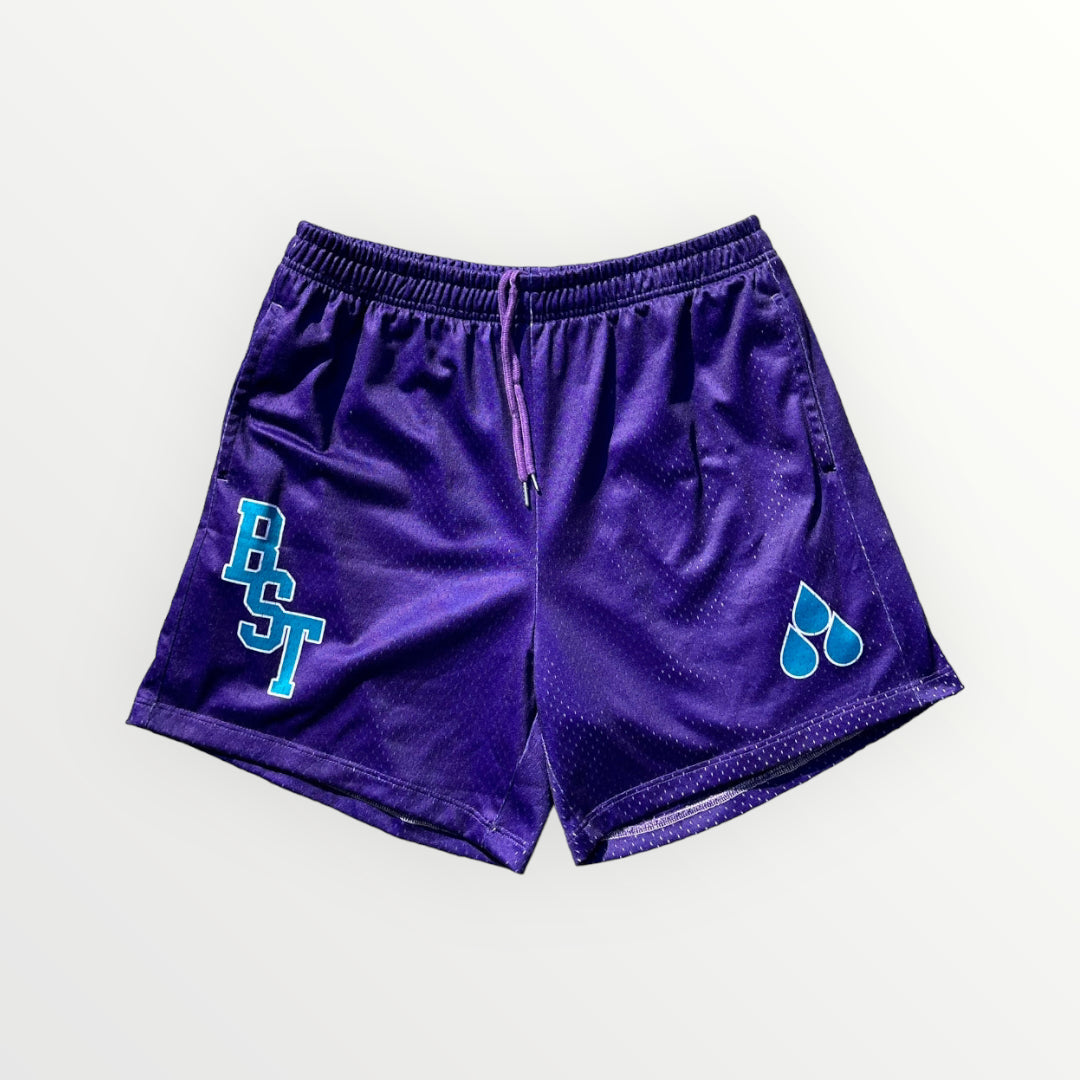 Concord Grape mesh shorts – Elite Threads